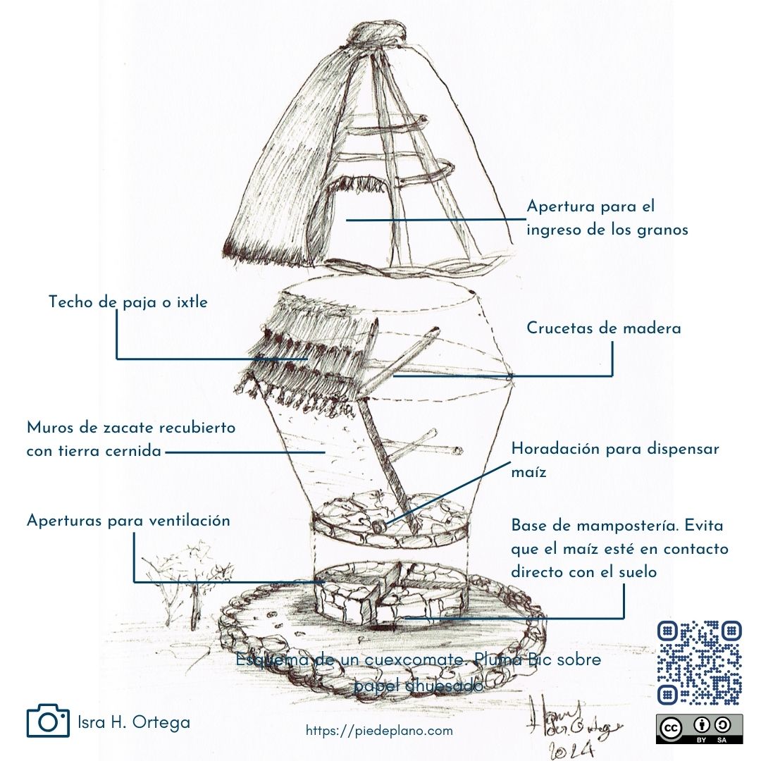 Glosario arquitectónico ilustrado – Pie de Plano
