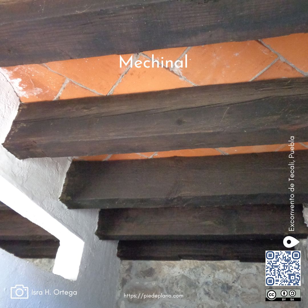 Mechinal – Pie de Plano