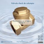 Válvula check tipo columpio – Pie de Plano